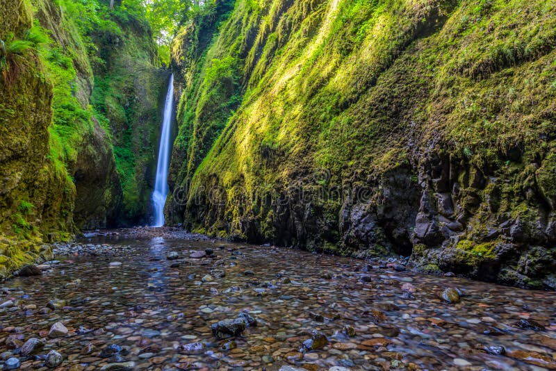 Beautiful Waterfall and Canyon in Oneonta Gorge Trail, Oregon. Stock ...