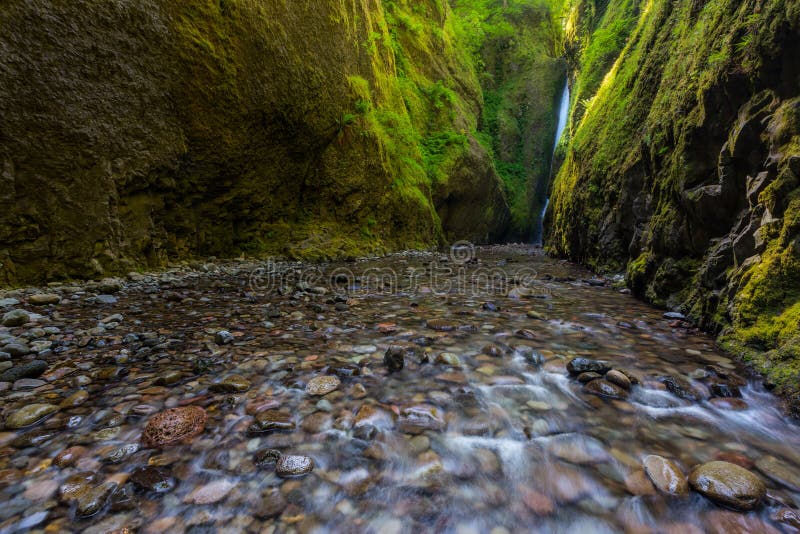 Beautiful Waterfall and Canyon in Oneonta Gorge Trail, Oregon. Stock ...
