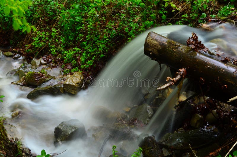 Beautiful Waterfall with Clear Water on a Mountain Stream in the Forest ...