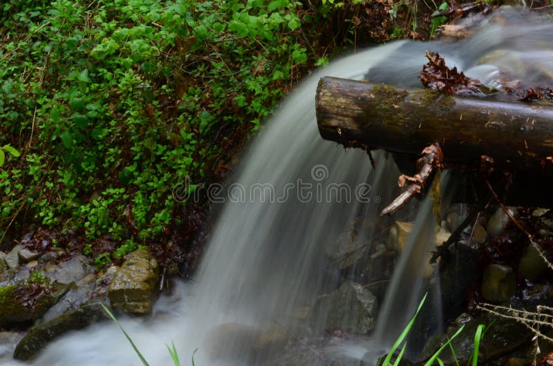 Beautiful Waterfall with Clear Water on a Mountain Stream in the Forest ...