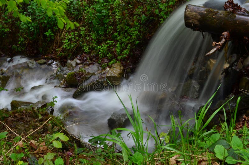 Beautiful Waterfall with Clear Water on a Mountain Stream in the Forest ...
