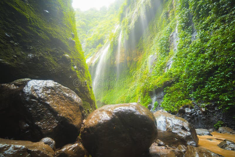 Madakaripura Waterfall, East Java, Indonesia Stock Image - Image of ...