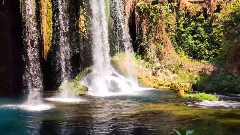 A Beautiful Waterfall Falling from a Cliff in Picturesque Forest Place ...