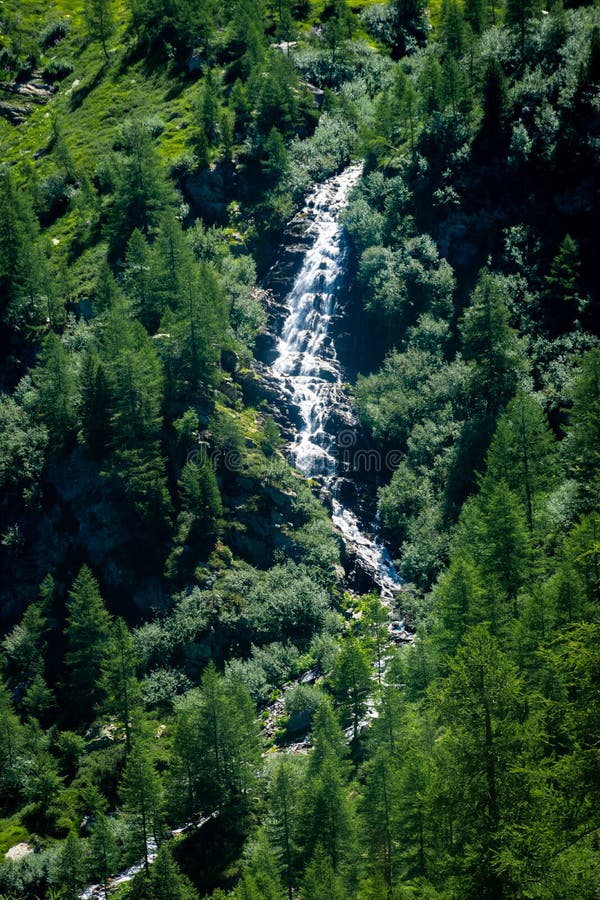 Beautiful Waterfall Flowing Down a Forest in the Italian Alps Stock ...