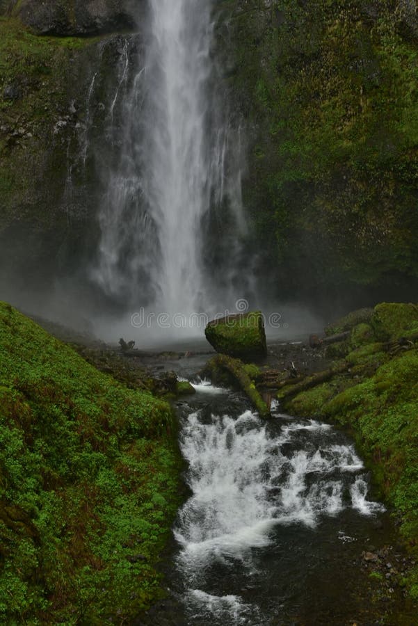 Beautiful Waterfall Flowing Downstream in a Mossy Forest Stock Image ...
