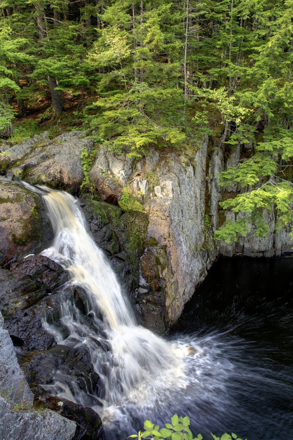 Crystal Falls in Coniferous Forest Stock Image - Image of refreshment ...