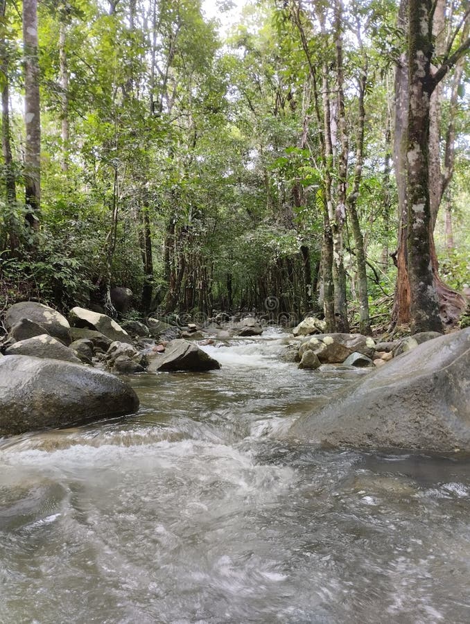 Beautiful Waterfall in the Forest, Enjoy at the Waterfall, Beautiful ...