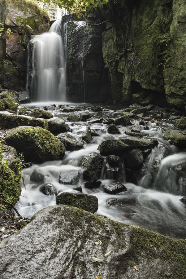 Beautiful Waterfall in Forest Landscape Long Exposure Flowing Th Stock ...