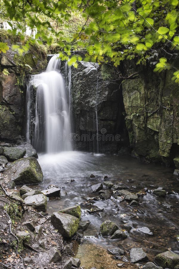 Beautiful Waterfall in Forest Landscape Long Exposure Flowing Th Stock ...