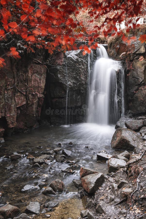 Beautiful Waterfall in Forest Landscape Long Exposure Flowing Th Stock ...