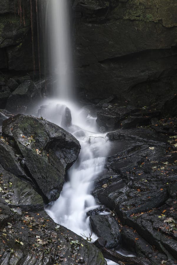Beautiful Waterfall in Forest Landscape Long Exposure Flowing Th Stock ...