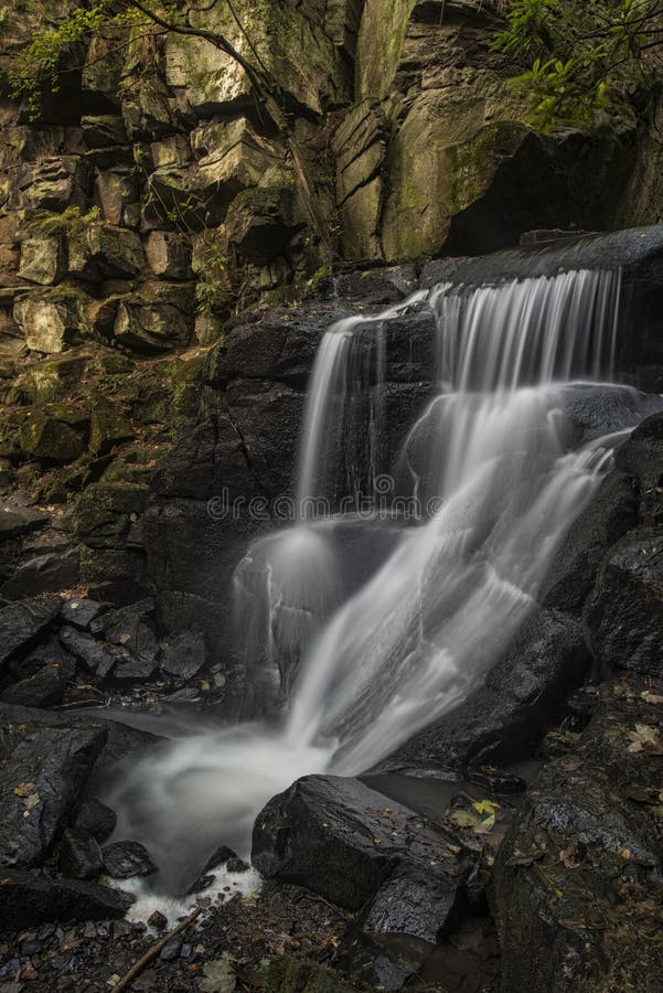 Beautiful Waterfall in Forest Landscape Long Exposure Flowing Th Stock ...