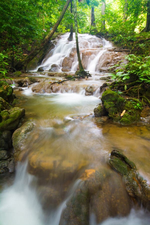 Beautiful Waterfall in Forest Stock Photo - Image of flow, river: 55770634