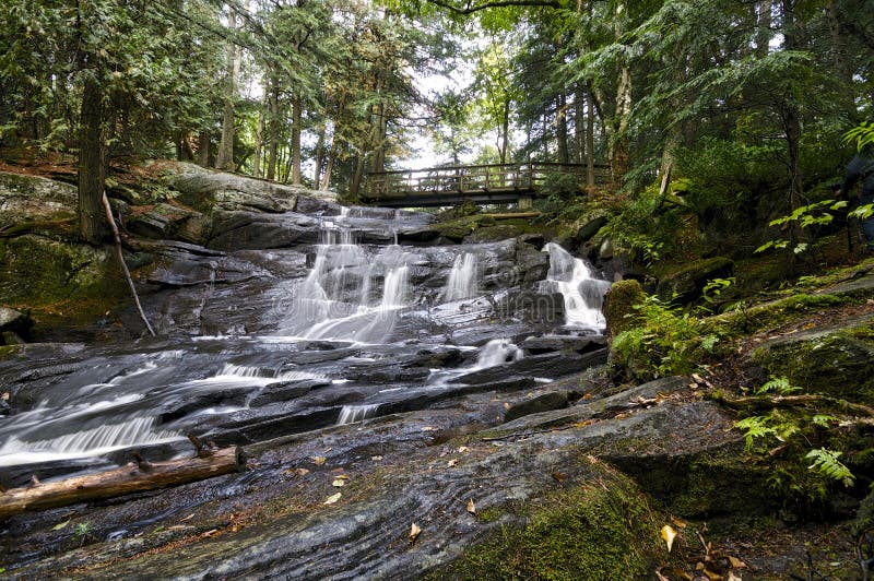 Beautiful Waterfall in the Forest with Rock, Moss, Maple Leaf, and Wood ...