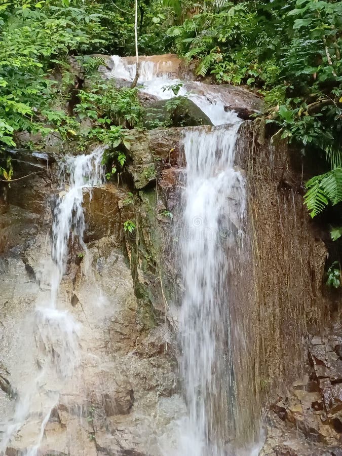 Beautiful Waterfall in the Forest with Water Cascade Stock Image ...