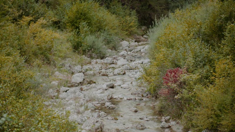 Beautiful Waterfall Fresh Water Cascade Nature Stock Footage - Video of ...