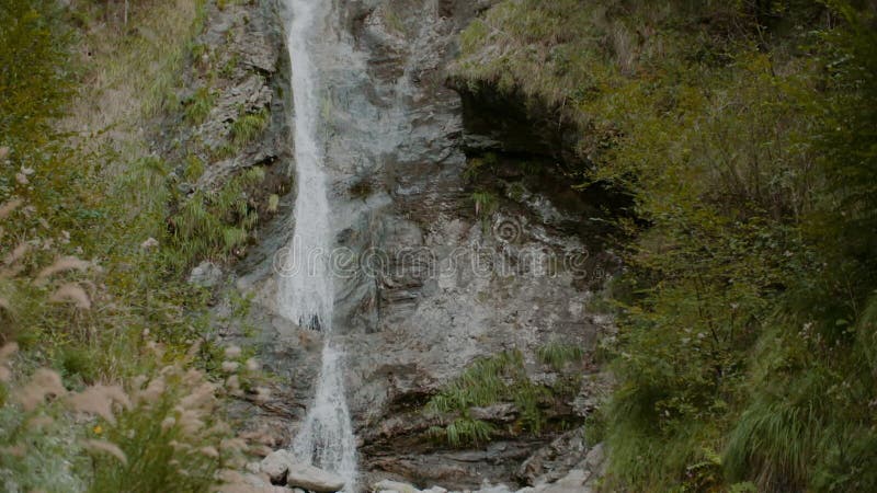 Beautiful Waterfall Fresh Water Cascade Nature Stock Video - Video of ...