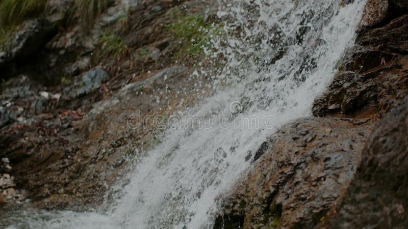 Beautiful Waterfall Fresh Water Cascade Nature Stock Video - Video of ...