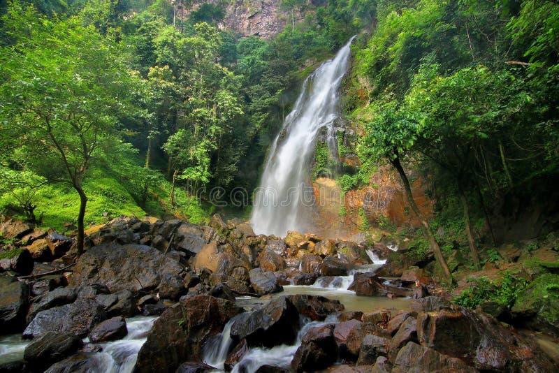 Beautiful Waterfall in Green Forest Stock Image - Image of waterfall ...