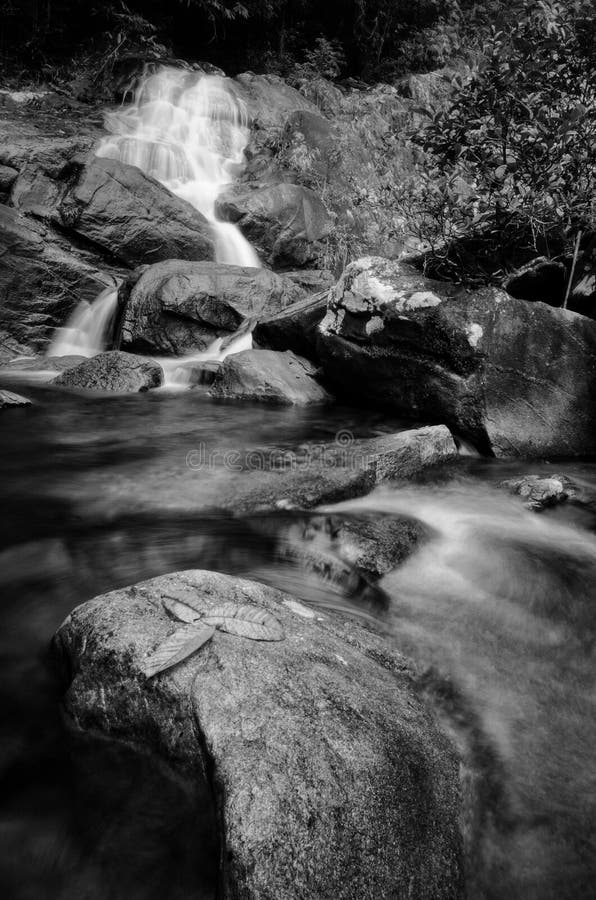 Beautiful Waterfall in Green Forest, Black and White Photography. Stock ...