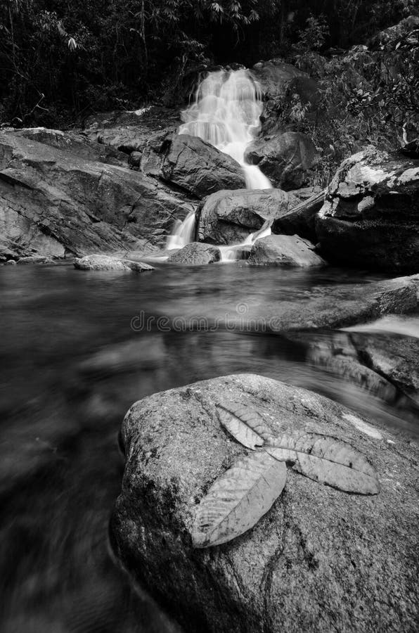 Beautiful Waterfall in Green Forest, Black and White Photography. Stock ...