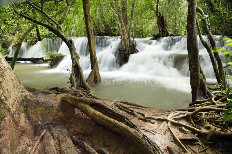 Beautiful Waterfall in Green Forest Stock Photo - Image of flowing ...