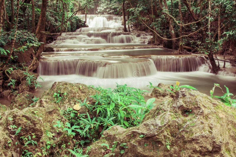 Beautiful Waterfall and Green Forest Resting Place and Relax Tim Stock ...