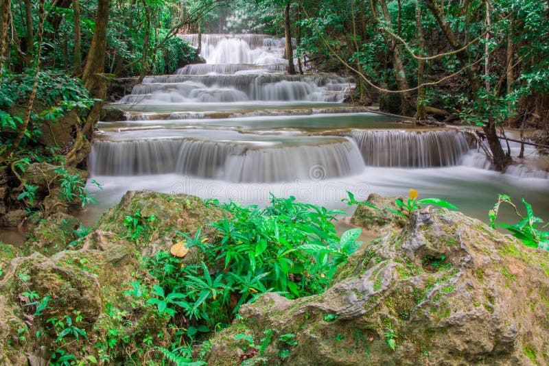 Beautiful Waterfall and Green Forest Resting Place and Relax Tim Stock ...