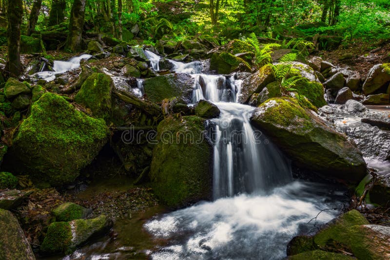 Beautiful Waterfall in the Green Forest Stock Image - Image of tropical ...