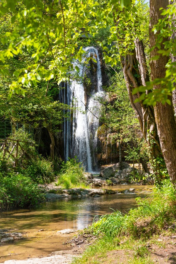 Beautiful Waterfall in Green Forest among Trees Stock Photo - Image of ...
