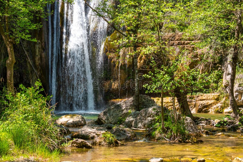 Beautiful Waterfall in Green Forest among Trees Stock Photo - Image of ...