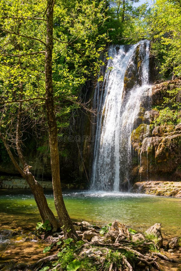 Beautiful Waterfall in Green Forest among Trees Stock Photo - Image of ...