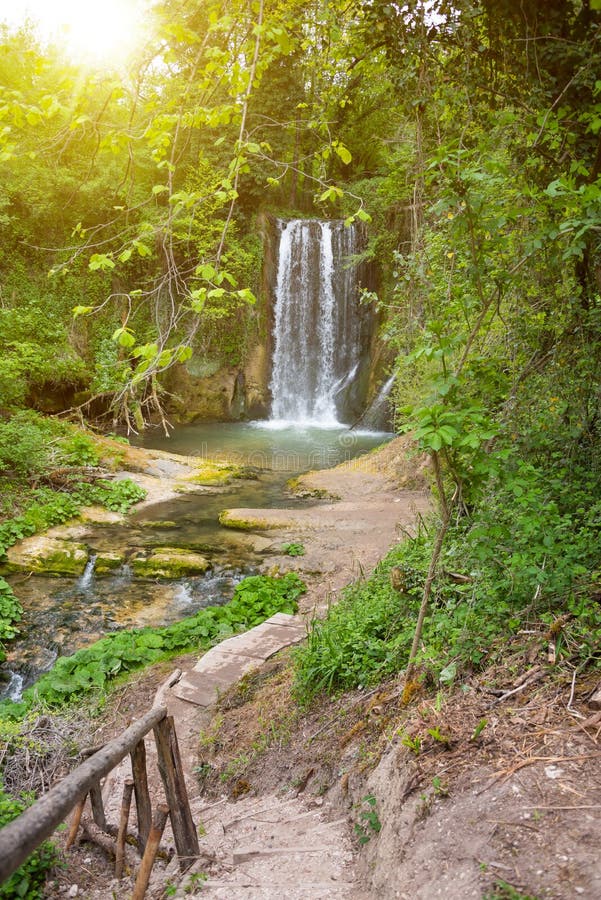 Beautiful Waterfall in Green Forest among Trees Stock Image - Image of ...