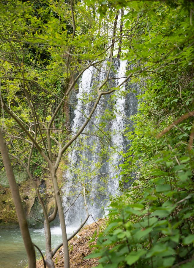 Beautiful Waterfall in Green Forest among Trees Stock Photo - Image of ...