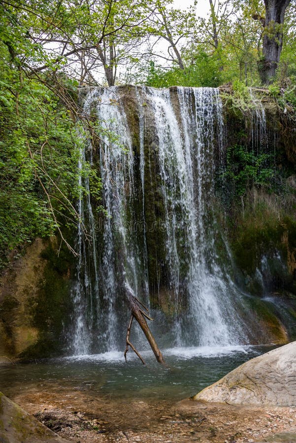Beautiful Waterfall in Green Forest among Trees Stock Photo - Image of ...