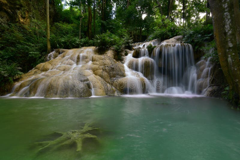 A Beautiful Waterfall in the Green Forest with Green Water Flowing on ...