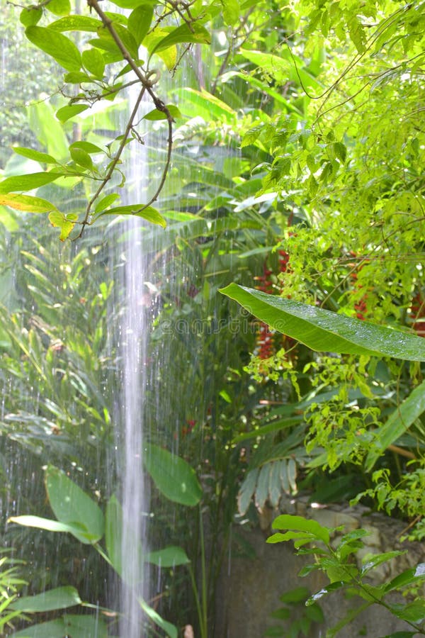 Beautiful Waterfall and Green Leaves in the Forest of Thailand Stock ...