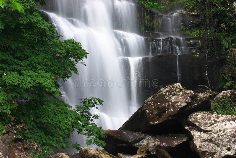 Beautiful Waterfall and Green Maple. Stock Image - Image of maple ...