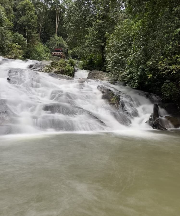 Waterfall in the Rain Forest Stock Photo - Image of pond, rain: 232672632