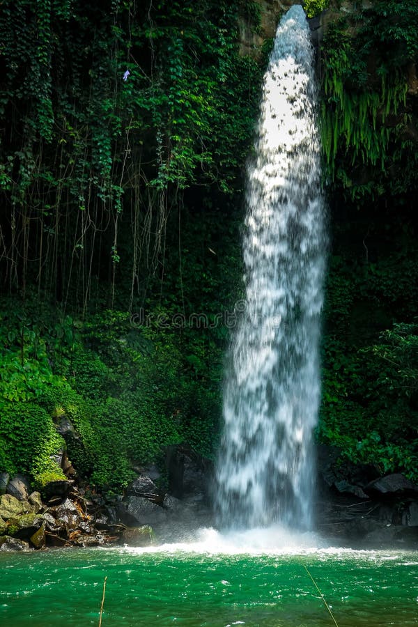 Beautiful Waterfall in the Middle of the Forest in the Rainforest Stock ...