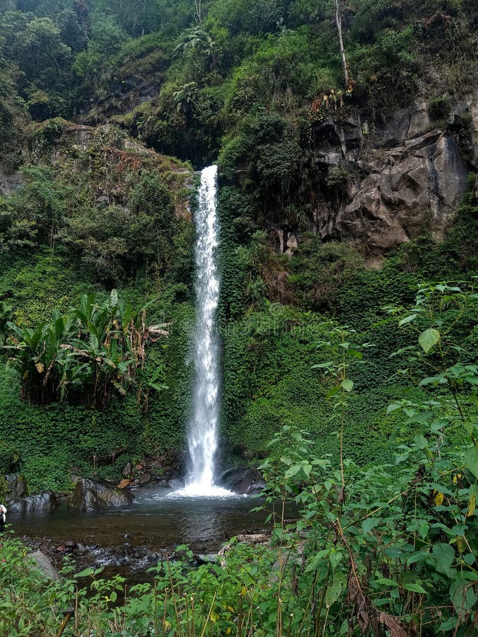 Beautiful Waterfall in the Middle of Forest with Various Vegetation ...