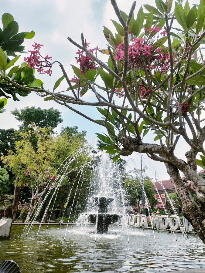 Beautiful waterfall stock photo. Image of beautiful - 326231986