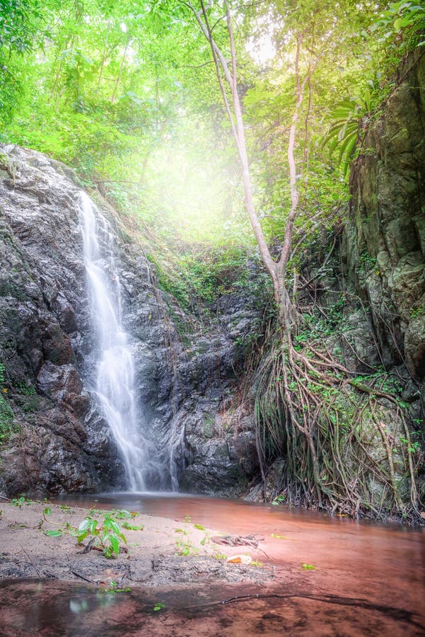 Waterfall on a Mountain Slope in Deep Forest. Tropical Waterfall in ...