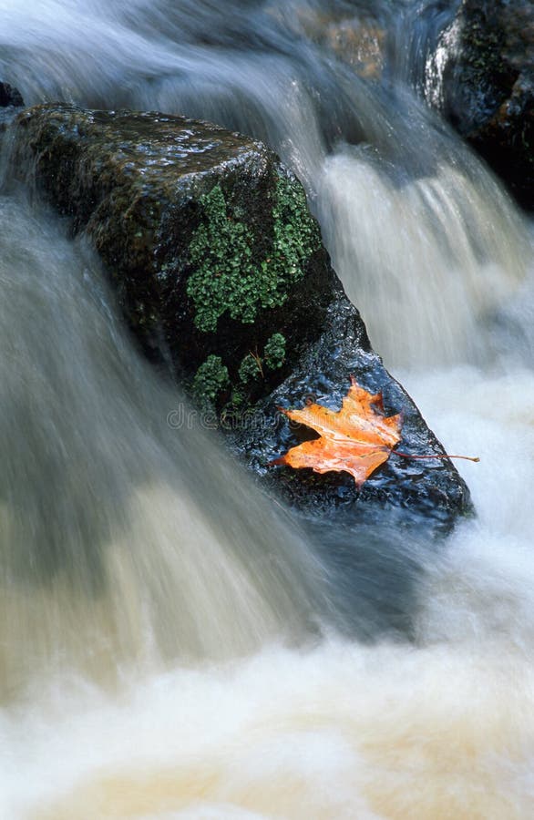 Beautiful Waterfall with Orange Maple Leaf on a Rock Stock Photo ...