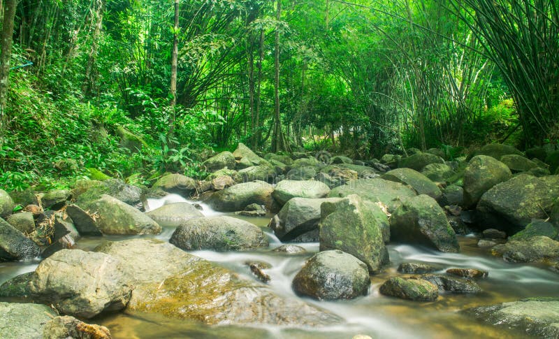 Beautiful Waterfall through Rock Stock Image - Image of park, travel ...