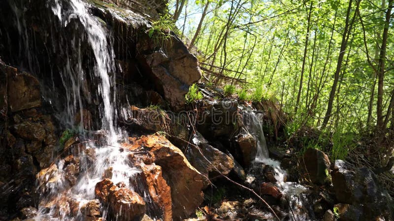 Nice Nature Waterfall in Spring Stock Video - Video of stone, forest ...