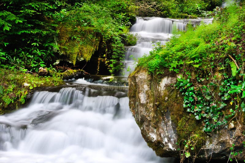 Beautiful Waterfall Slow Motion in Summer Stock Photo - Image of smoky ...