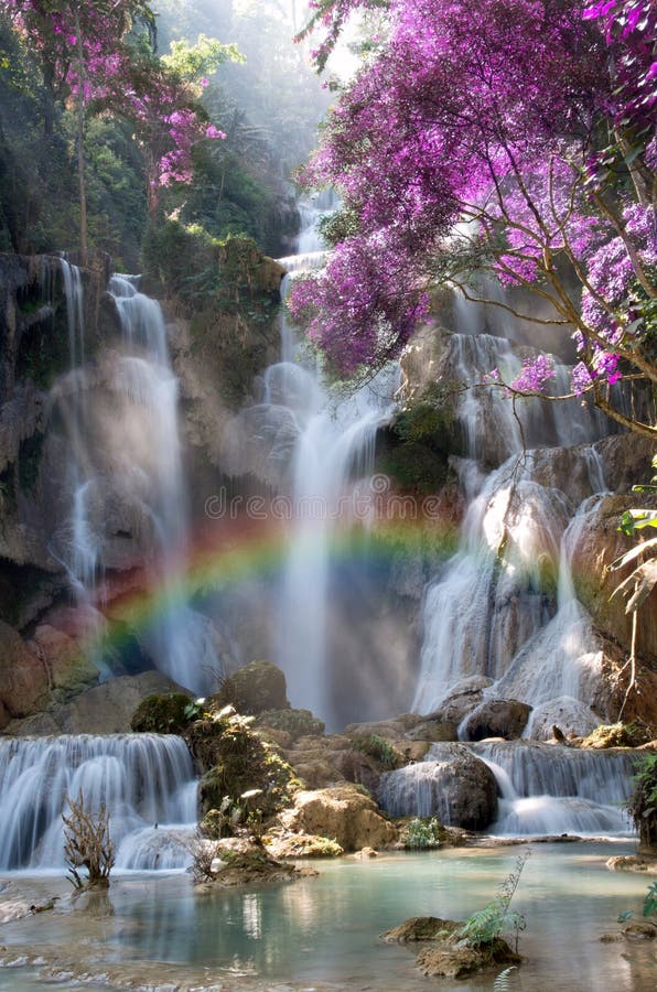 Beautiful Waterfall with Soft Focus and Rainbow in the Forest Stock Image - Image of purity ...