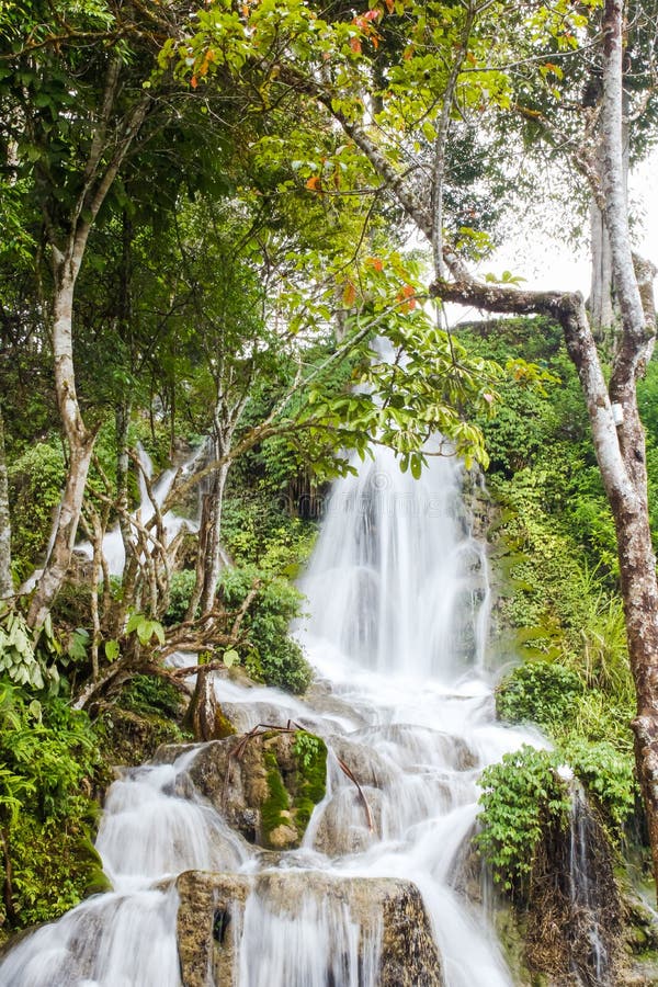 The Beautiful Waterfall and Trees with Great Atmosphere Stock Photo ...