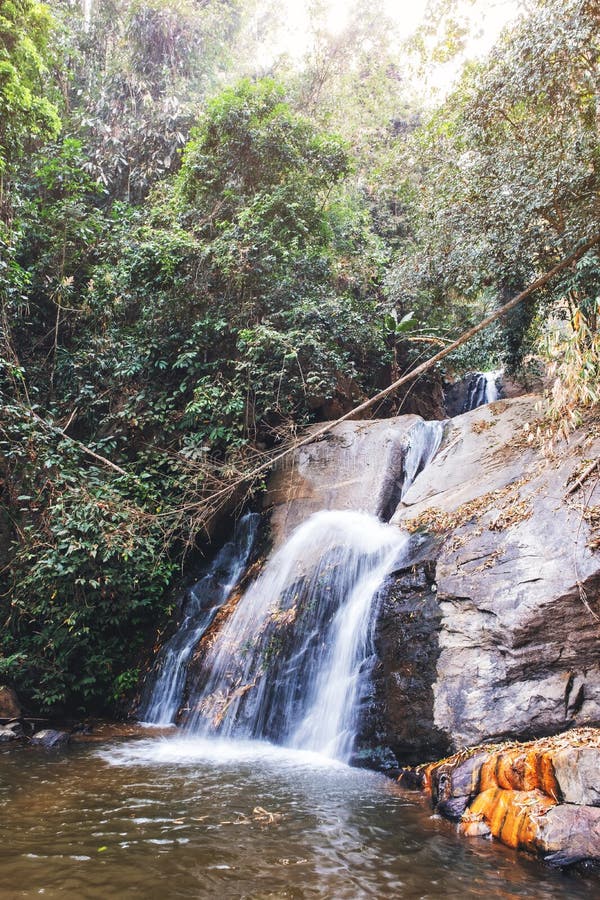 A Beautiful Waterfall in the Jungle Stock Image - Image of nature ...